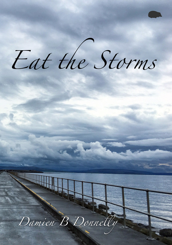 Eat the Storms- Damien B. Donnelly – Storm Shelter
