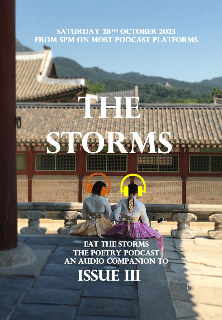 Eat The Storms – The Storms – Issue 3 – An Audio Companion – Storm Shelter